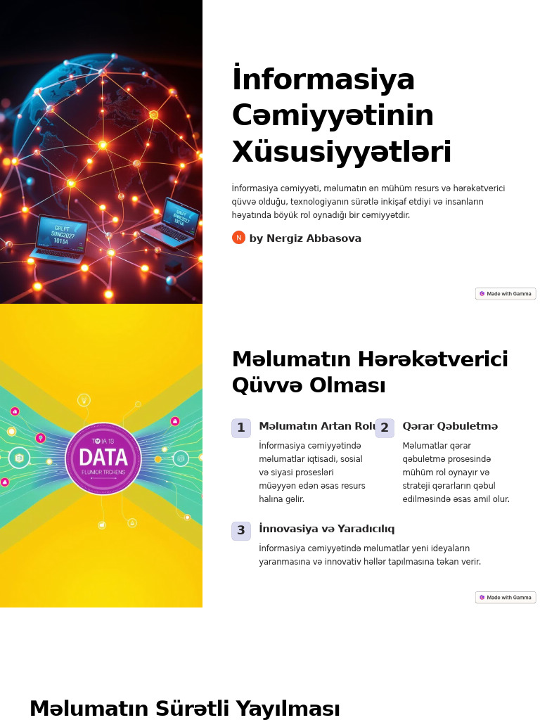 Informasiya Cemiyyetinin Xususiyyetleri | PDF