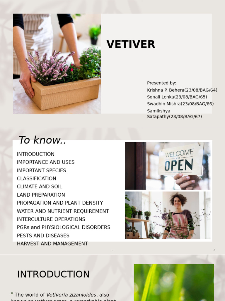 Dappled Design | PDF | Soil | Pest (Organism)