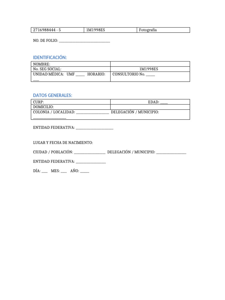 Formato Carnet IMSS EstiloReal | PDF