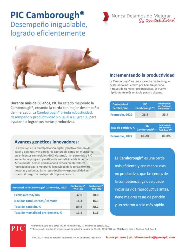 Camborough Hoja de Producto | PDF