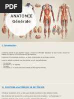 Anatomie du Squelette Humain | PDF | Articulation (anatomie) | Colonne vertébrale