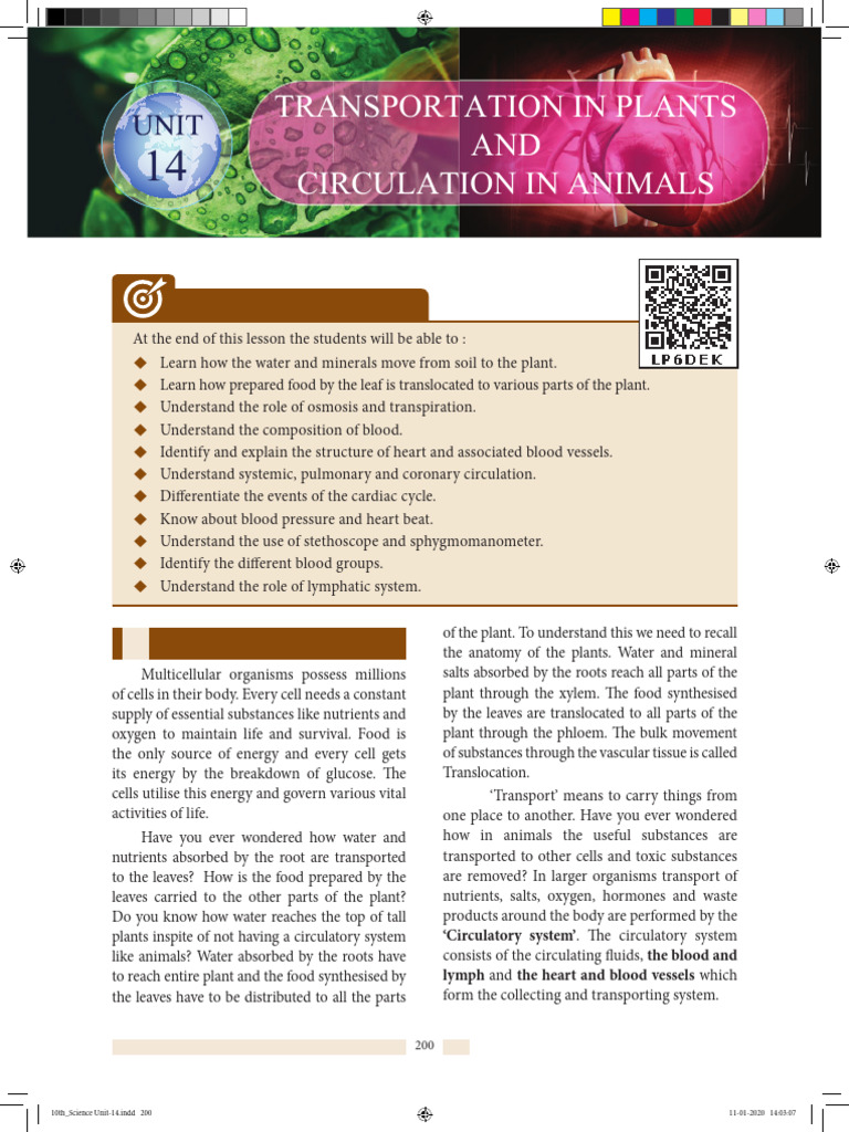Science Class10 Unit15 Transportation Circulation | PDF | Atrium (Heart) | Heart Valve
