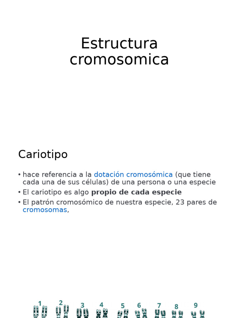 Estructura Cromosomica | PDF | Dominancia (Genética) | Alelo