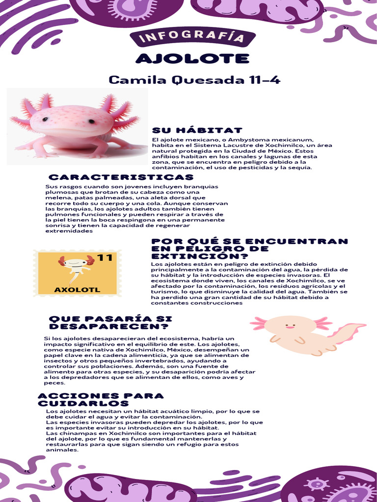 Infografia Camila Quesada 11-4 PDF | PDF | Entorno natural
