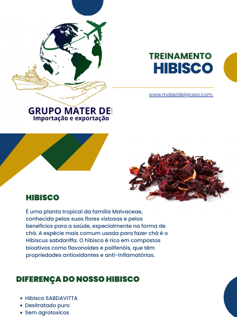 Treinamento Hibisco | PDF