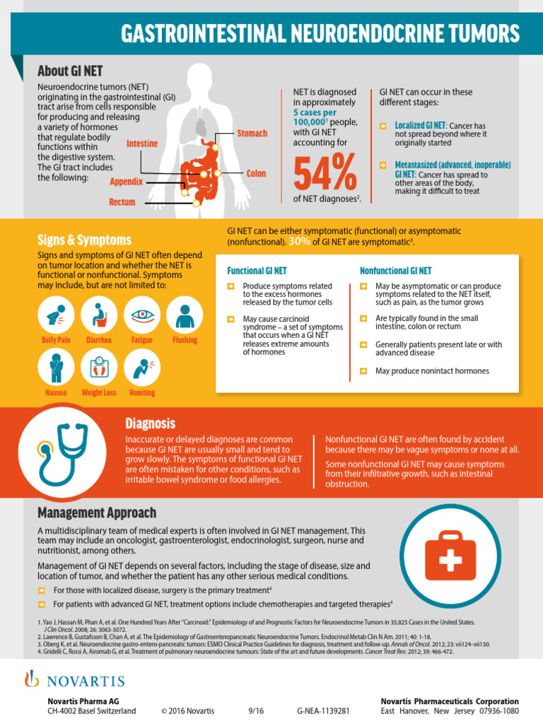 Gi Net Infographicgi Net Infographicgi Net Infographic | PDF ...