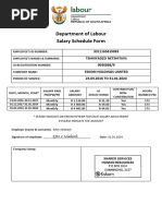 Blank Salary Schedule | PDF | Career & Growth