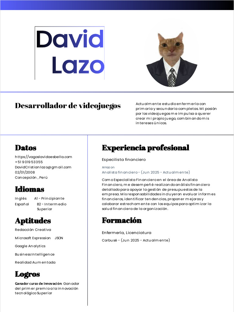 David CV | PDF