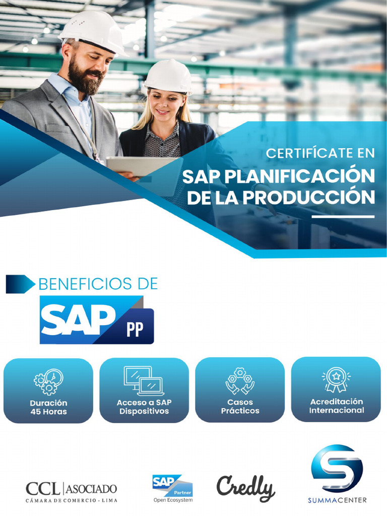 Brochure Erp PP | PDF