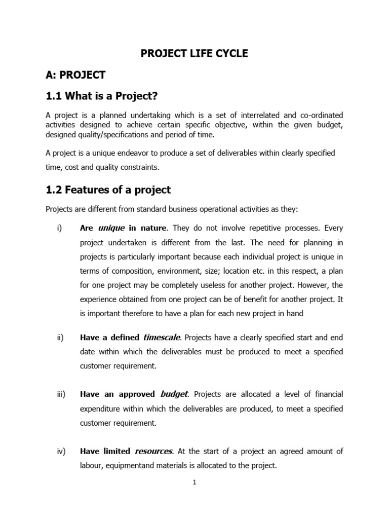 1 - Project Life Cyle | PDF | Project Management | Consultant