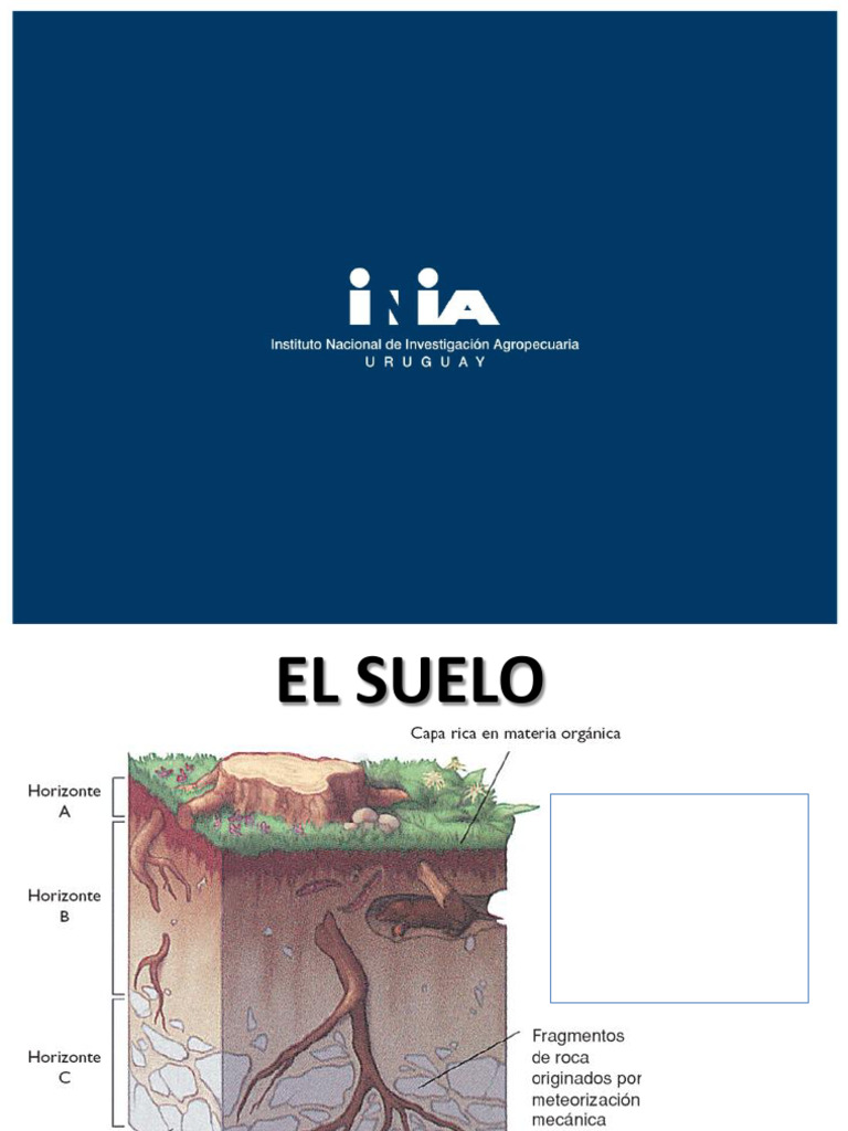 Capas y formación del suelo para niños | PDF | Suelo | Arcilla