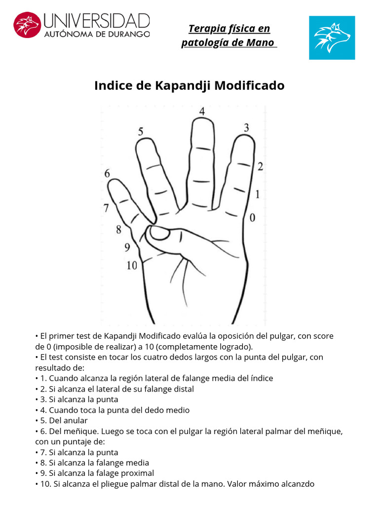 Indice de Kapandji Modificado: Terapia Física en Patología de Mano | PDF