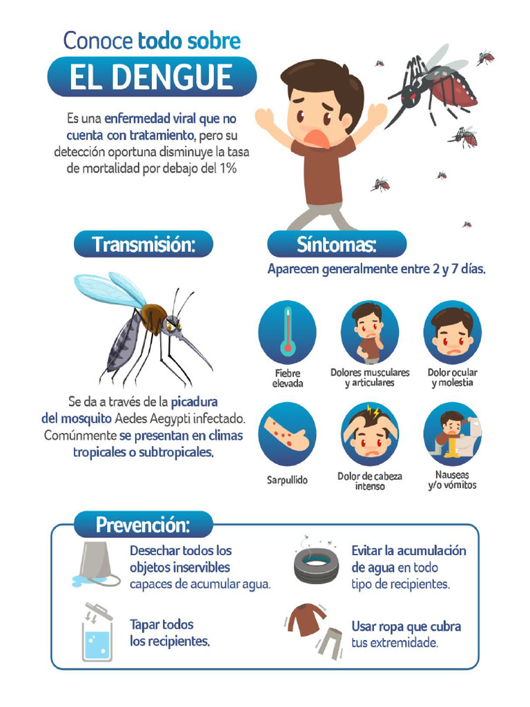 Fichas Prevenir Dengue | PDF