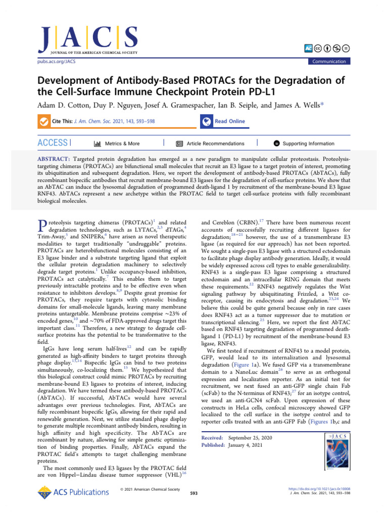 Cotton Et Al 2021 Development of Antibody Based Protacs For The Degradation of The Cell Surface ...