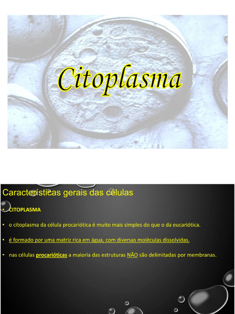 4 Citoplasma+e+Organelas+Citoplasmáticas | PDF