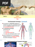 ΑΝΑΤΟΜΙΑ γ επαλ | PDF