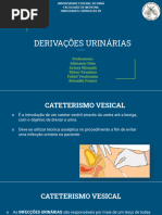 Cistostomia: Técnicas e Indicações Cirúrgicas | PDF | Especialidades ...
