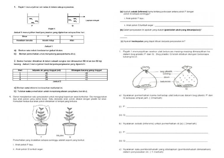 Worksheet Inferens Dan Pemerhatian | PDF
