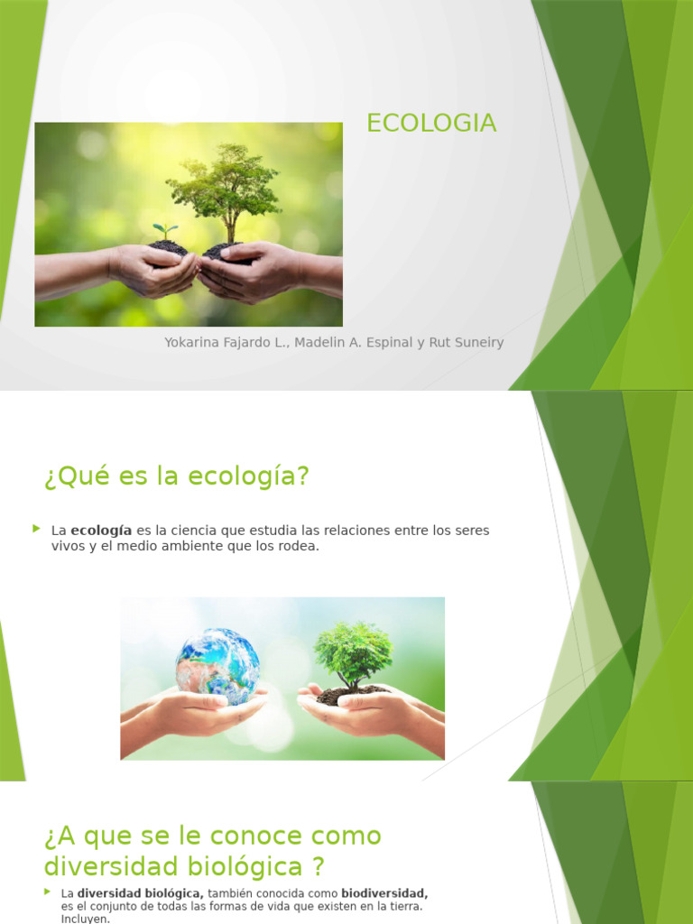 ECOLOGIA Yokarina | PDF