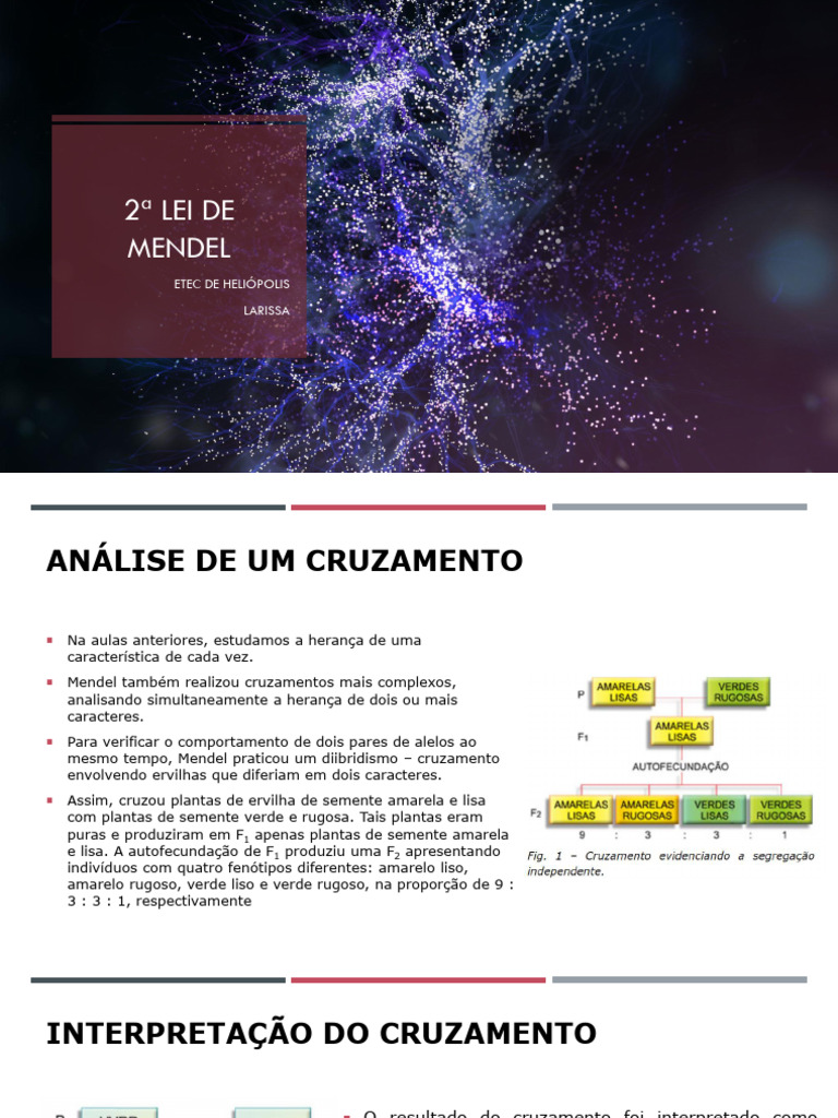 Segunda Lei de Mendel: Diibridismo | PDF | Biologia | Genética