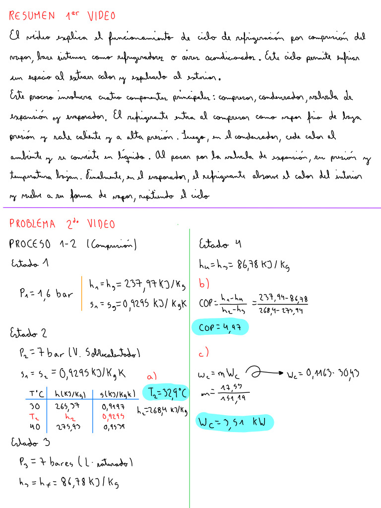 Termo Resumen y Problema | PDF