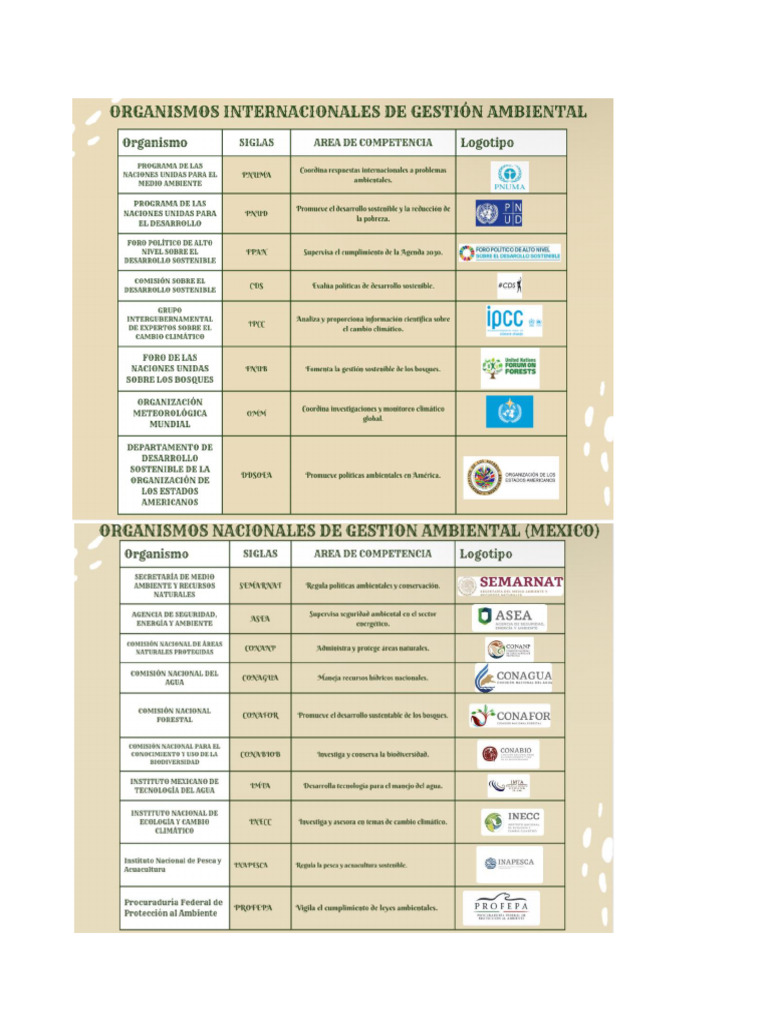 Documento (1) 2 | PDF