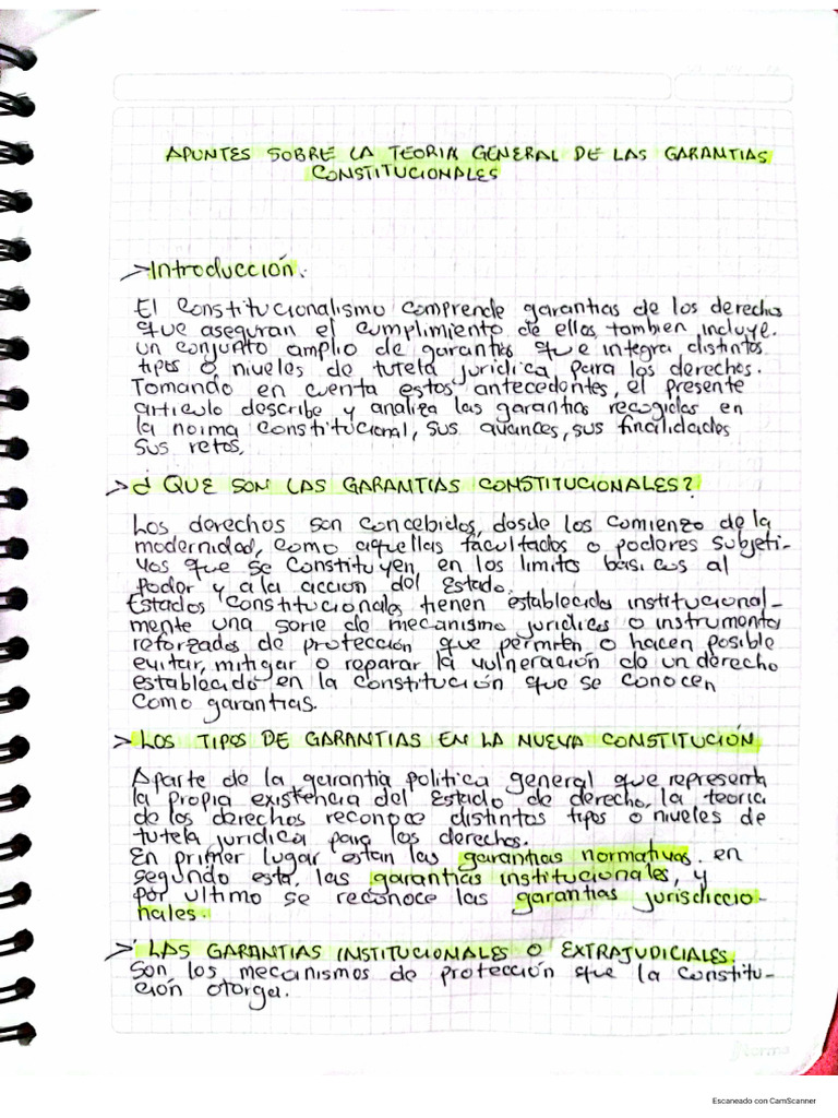 Derecho Constitucional Henry | PDF