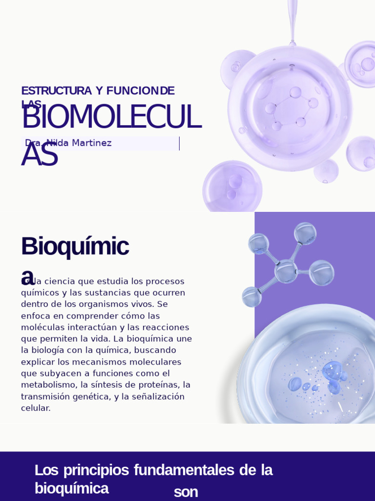 Biomoleculas, Dra Nilda Martinez Clase 1 Bioqq | PDF | Lípido | Polisacárido