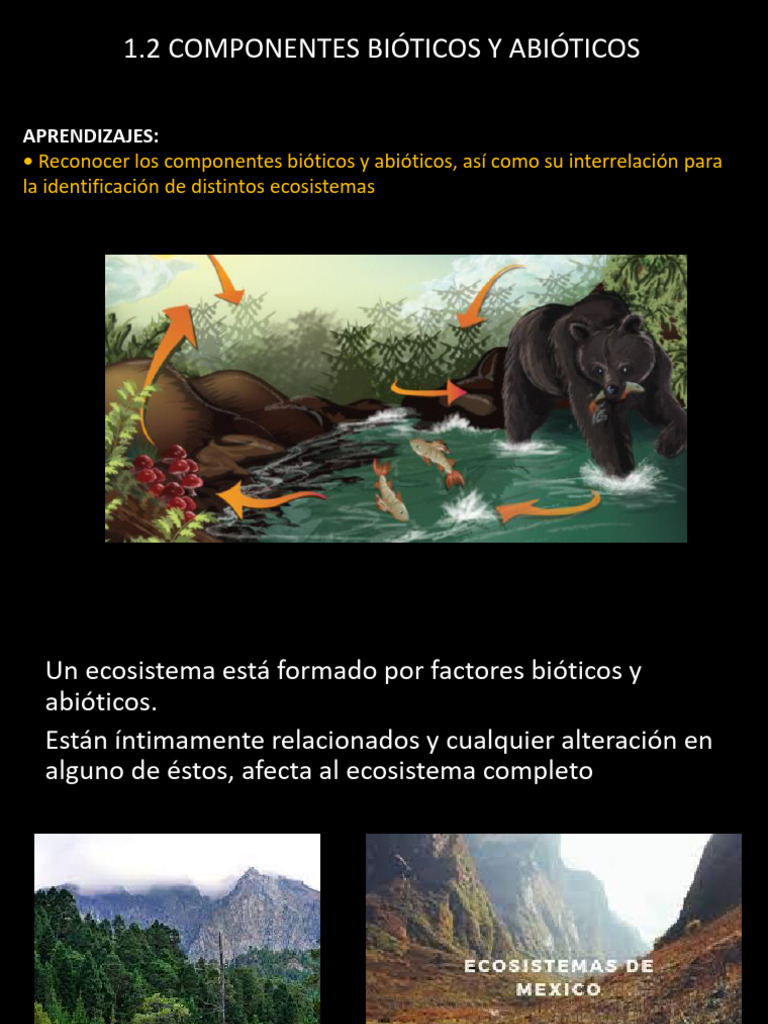1.2 Componentes Bióticos Abióticos | PDF | Organismos | Ecosistema