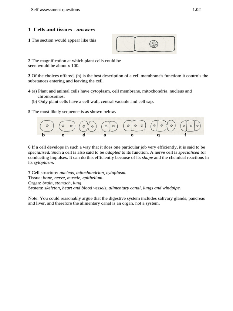 FORM 1 Cells Tissues Answers | PDF