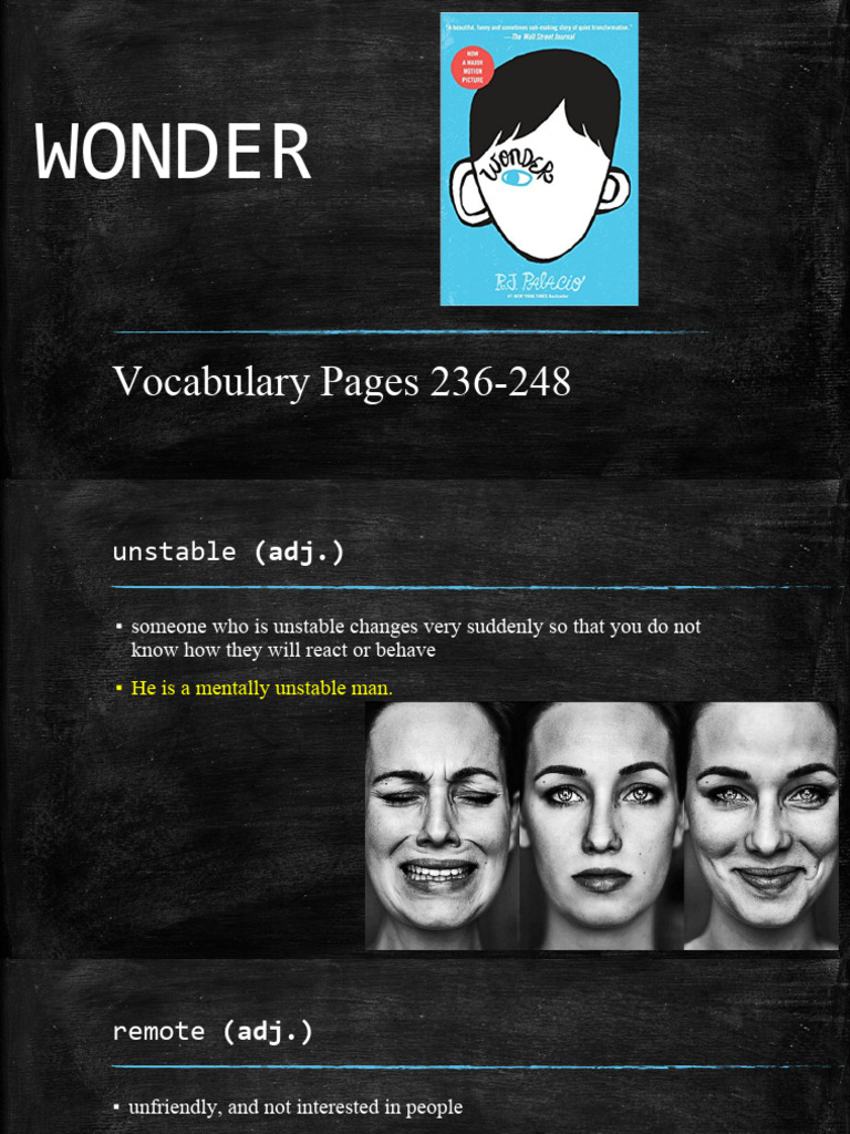 Vocabulary Definitions and Examples | PDF