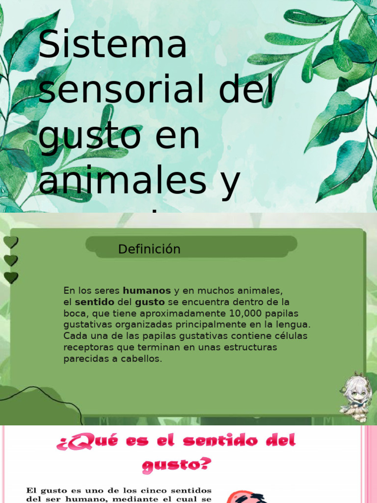 Sistema del gusto en animales y humanos | PDF | Gusto | Anatomía