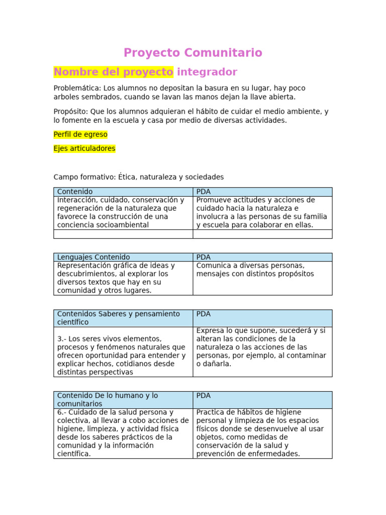 Proyecto Comunitario | PDF