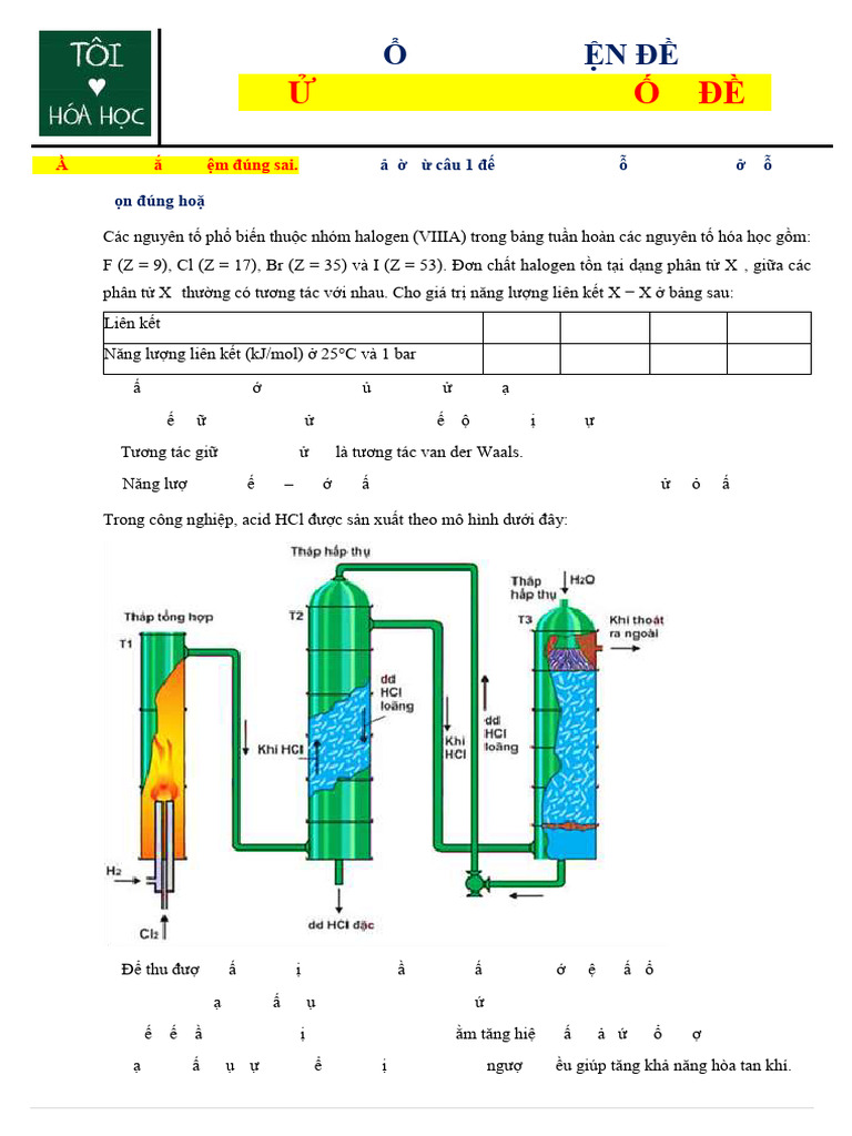 10 Cau Cuoi de 04 | PDF