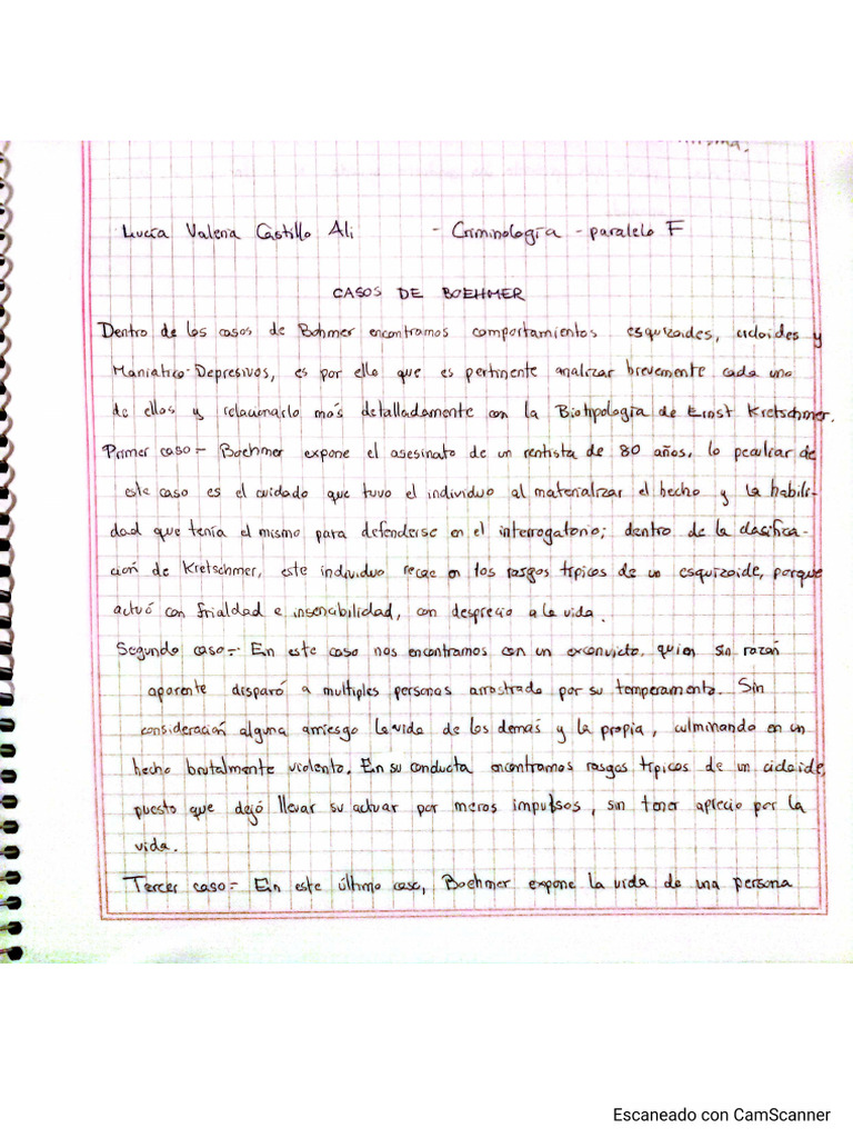 Castillo Ali Lucia Valeria - CASOS BOEHMER | PDF