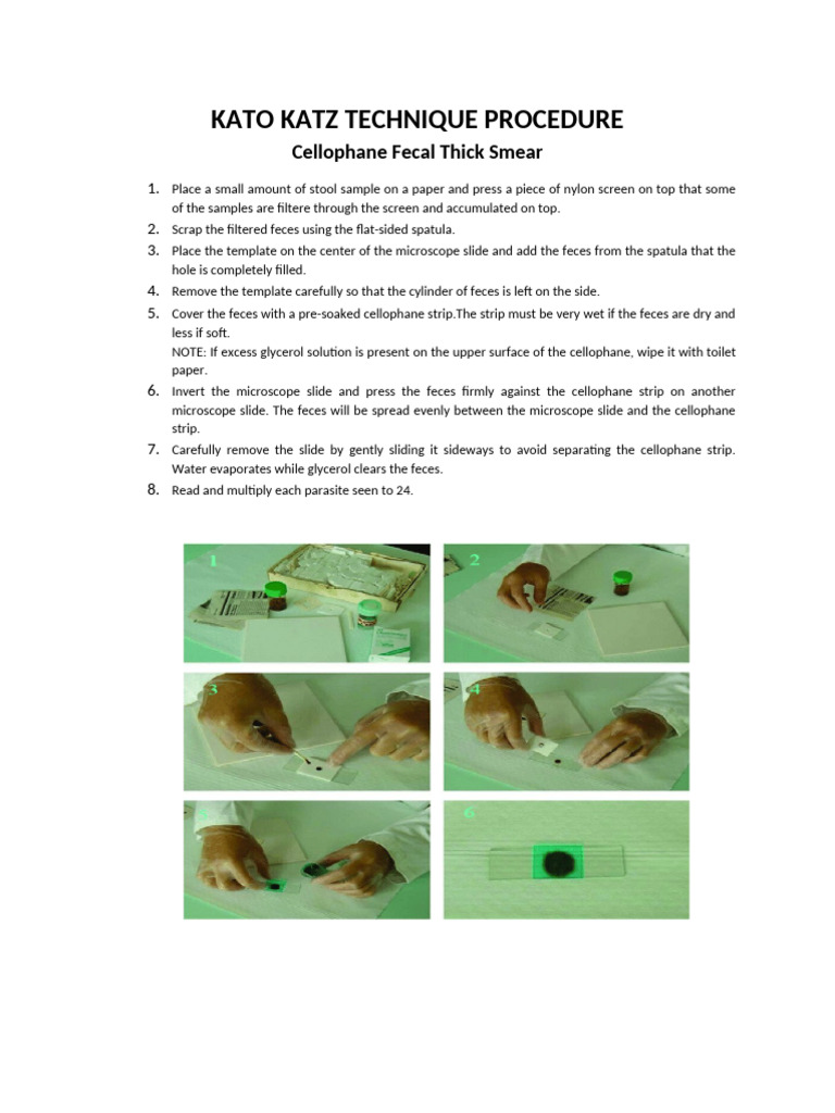 Kato Katz Technique Procedure | PDF