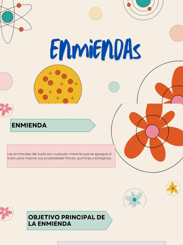Enmiendas 2 | PDF
