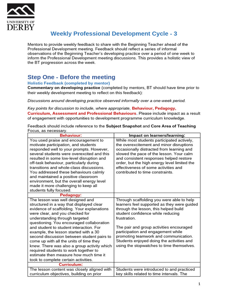 3 - Weekly Professional Development Cycle 2024-25 | PDF | Mentorship ...