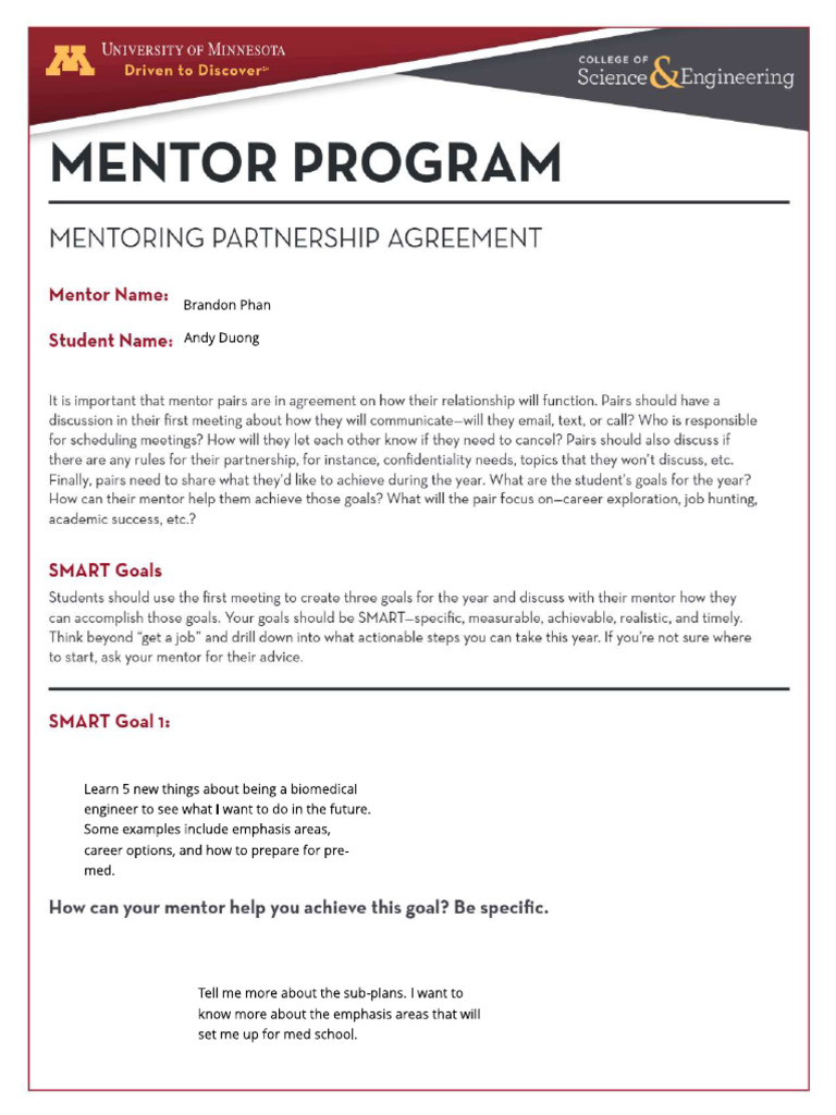 Mentorship Goals | PDF