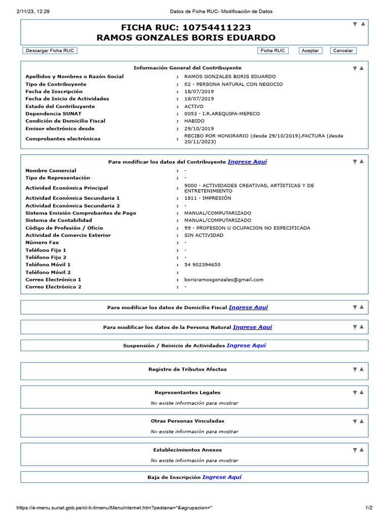 Ficha Boris | PDF | Industrias de servicio