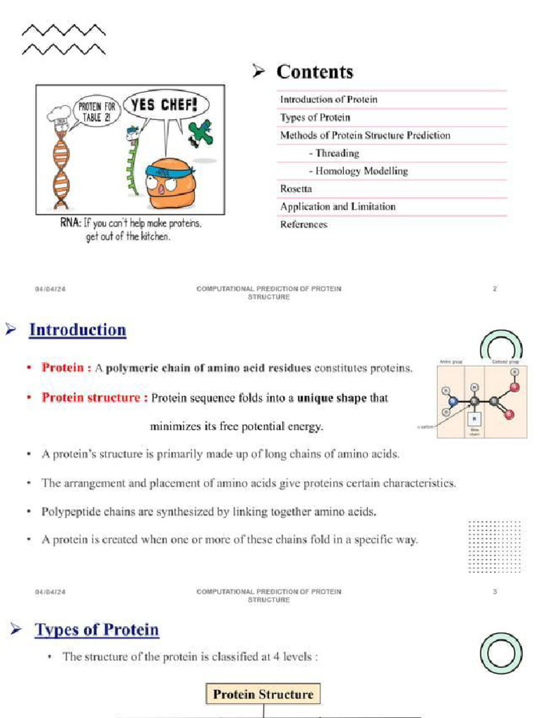 Computation Prediction Protein Structure Pdf