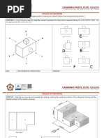 Root and Shoot Systems | PDF | Root | Plant Stem