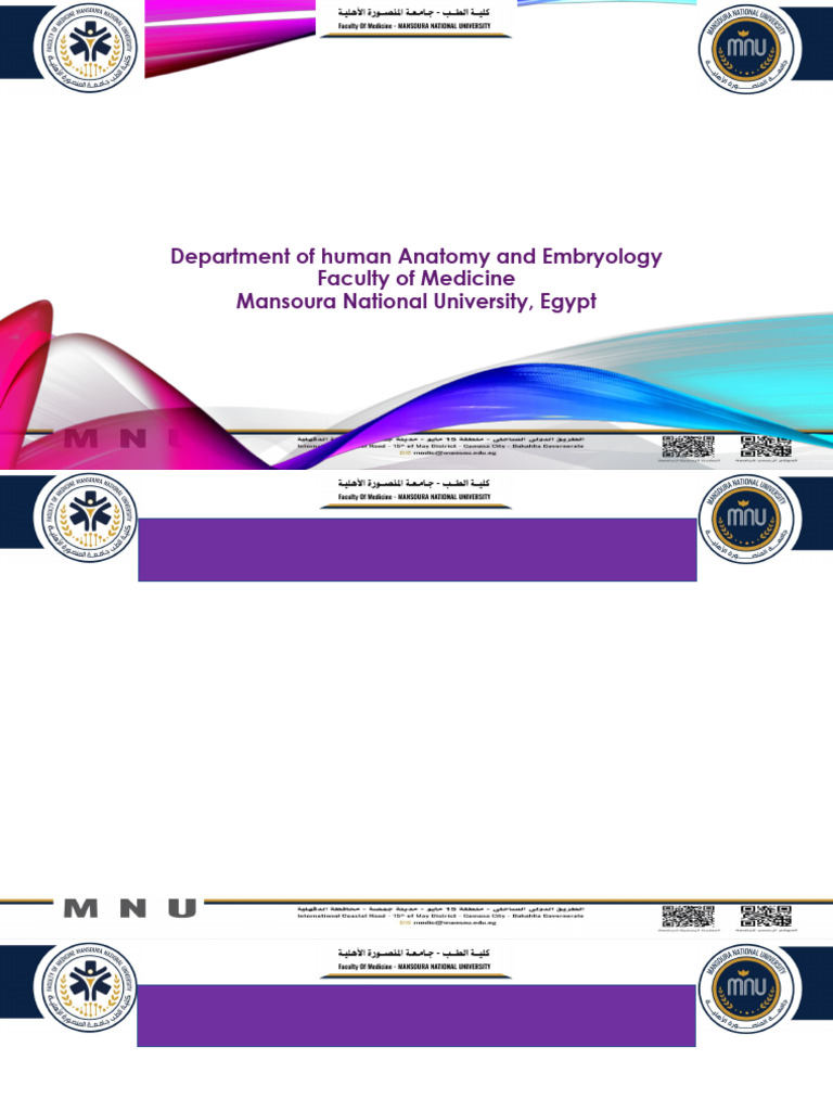 Anatomy of the Leg Region | PDF | Foot | Human Leg