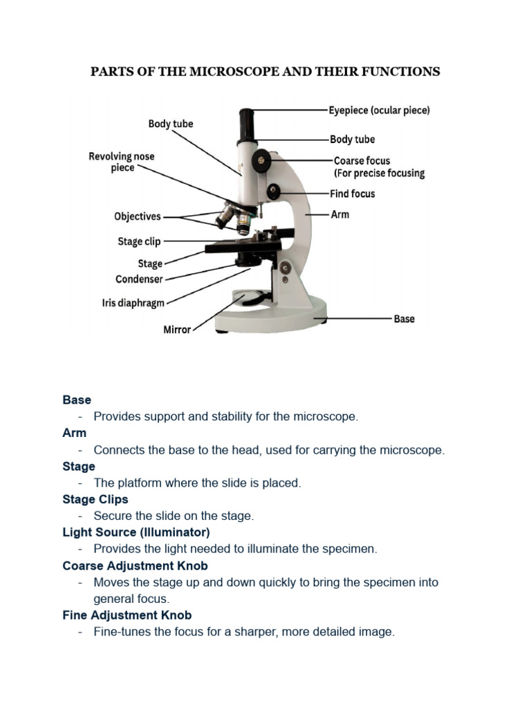 Parts of The Microscope and Their Functions | PDF