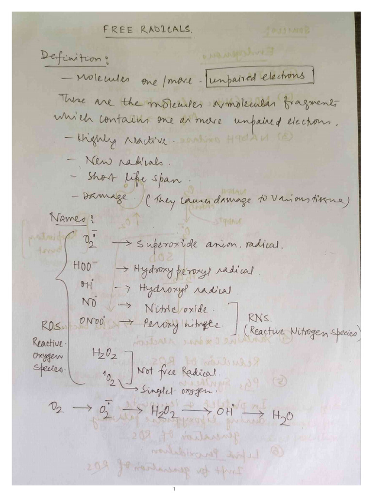 Free Radicals | PDF