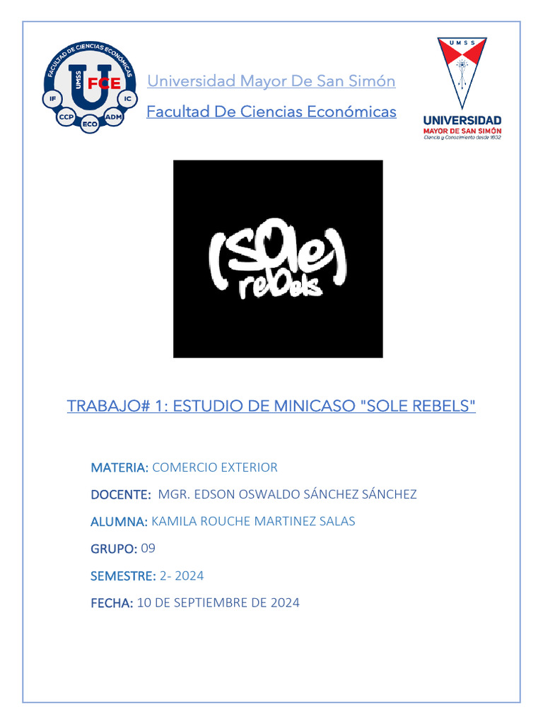 Estrategias de Comex para SoleRebels | PDF | Marketing | Al por menor