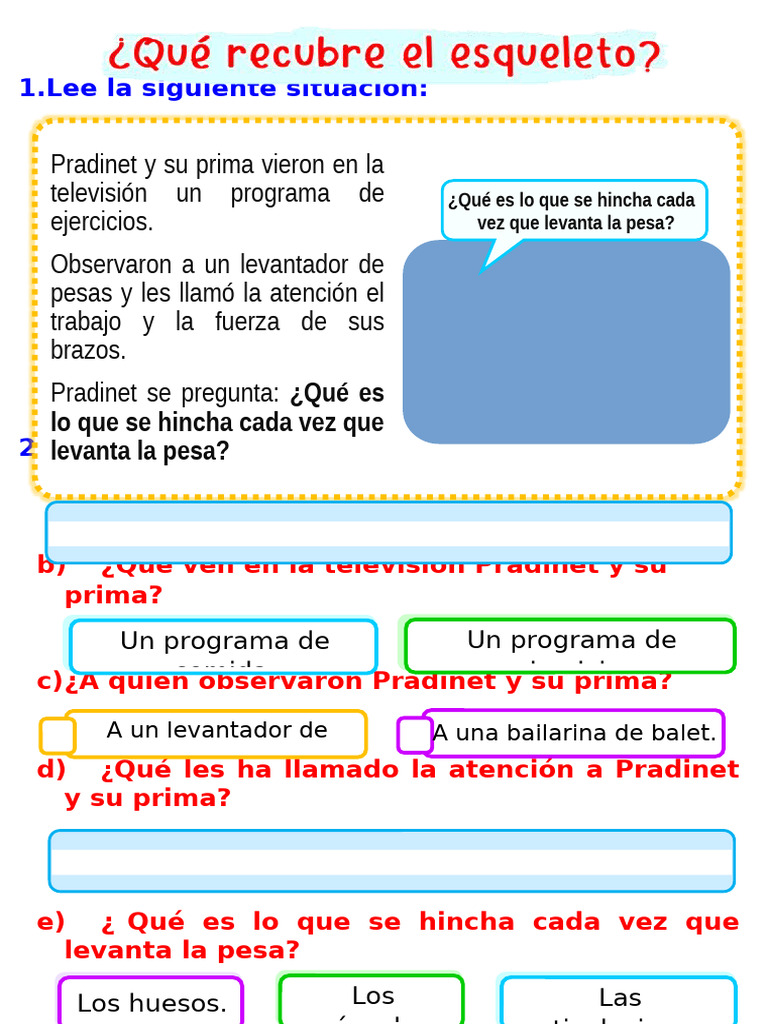 FICHA LOS MÚSCULOS RECUBREN El ESQUELETO MAESTRA JANET | PDF