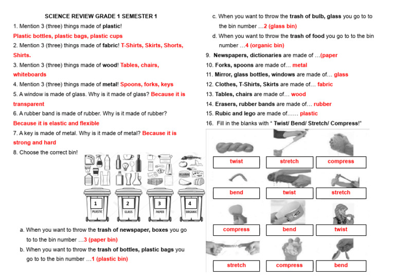 Science Review Grade 1 | PDF