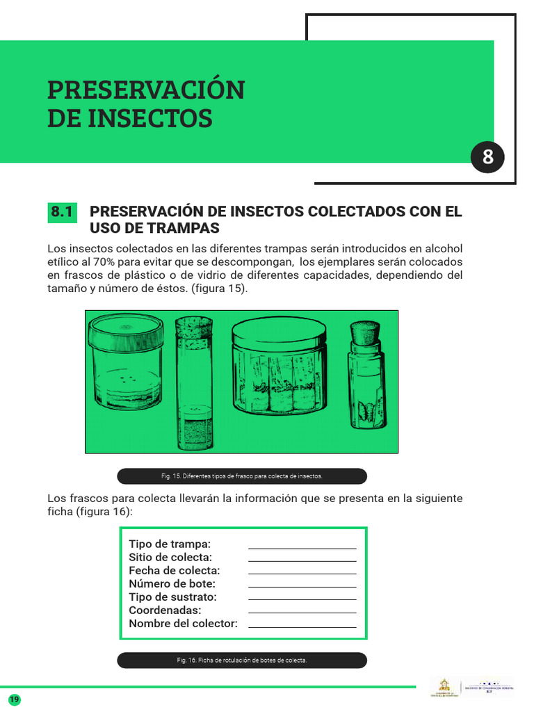 Preservacion de Insectos | PDF | Insectos | Hexapoda