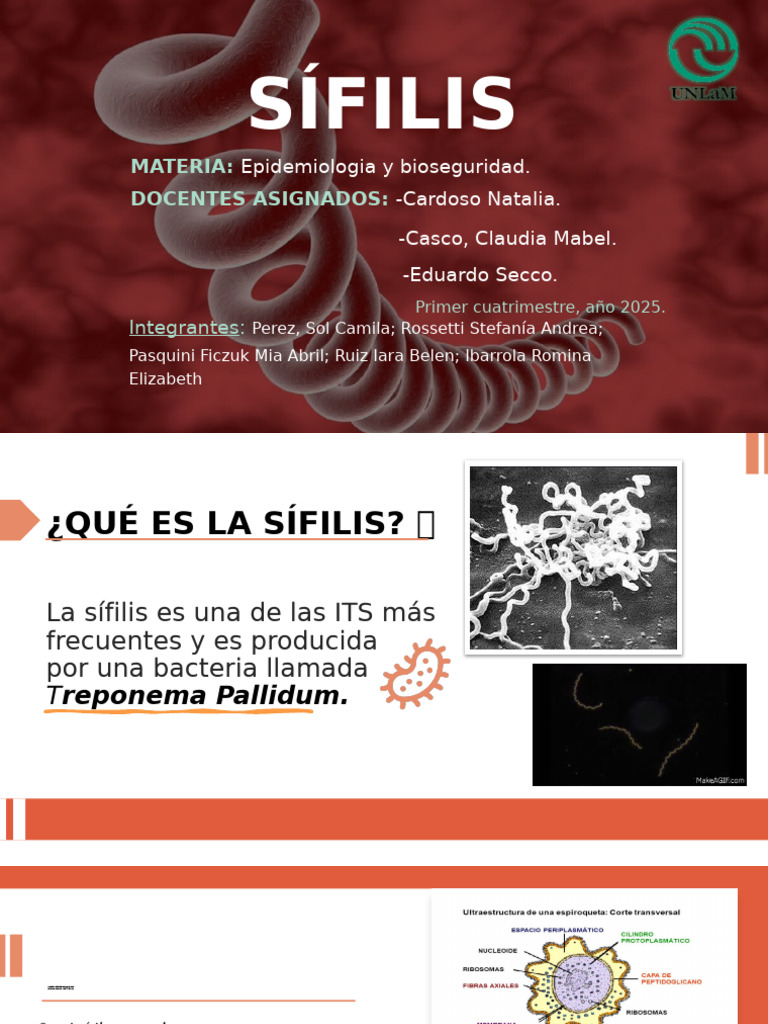 Sifilis. (1) (1) - 1 | PDF | Sistema inmune | Ciencias de la Salud